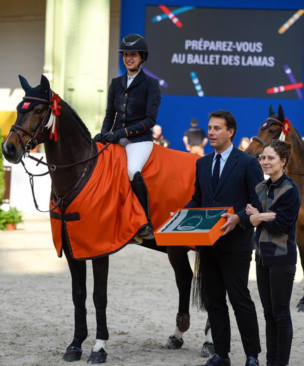 Balou Star - BalouStar.com - Bienvenue dans l’élite du saut d’obstacles